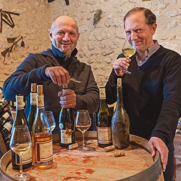 Cheverny Rouge - Domaine du Salvard – DOMAINE DU SALVARD
